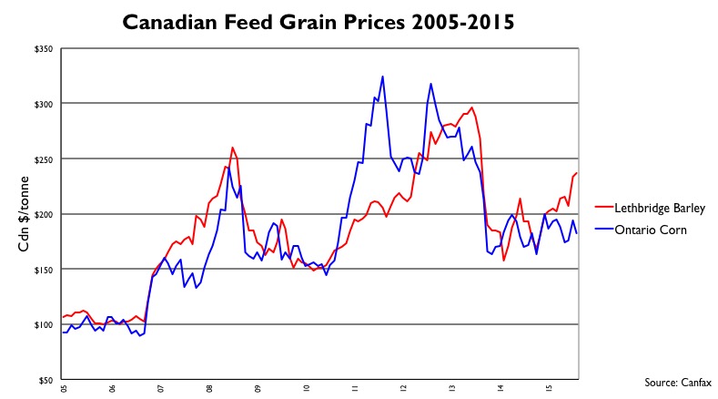 Optimizing Feedlot Feed Efficiency Beef Cattle Research Council