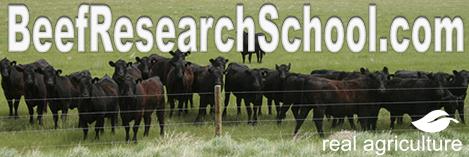 Feed Testing Explained in Beef Research School Video - BeefResearch.ca
