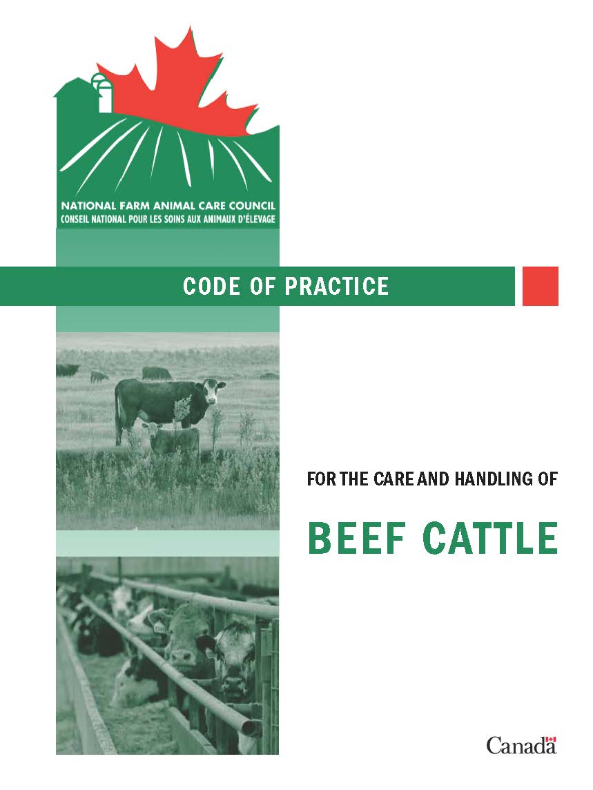 Beef Research School Video: Beef Care Code Essentials in 10 Minutes ...
