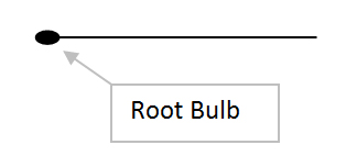Next Time you Process Cattle, Pull Tail Hairs - BeefResearch.ca