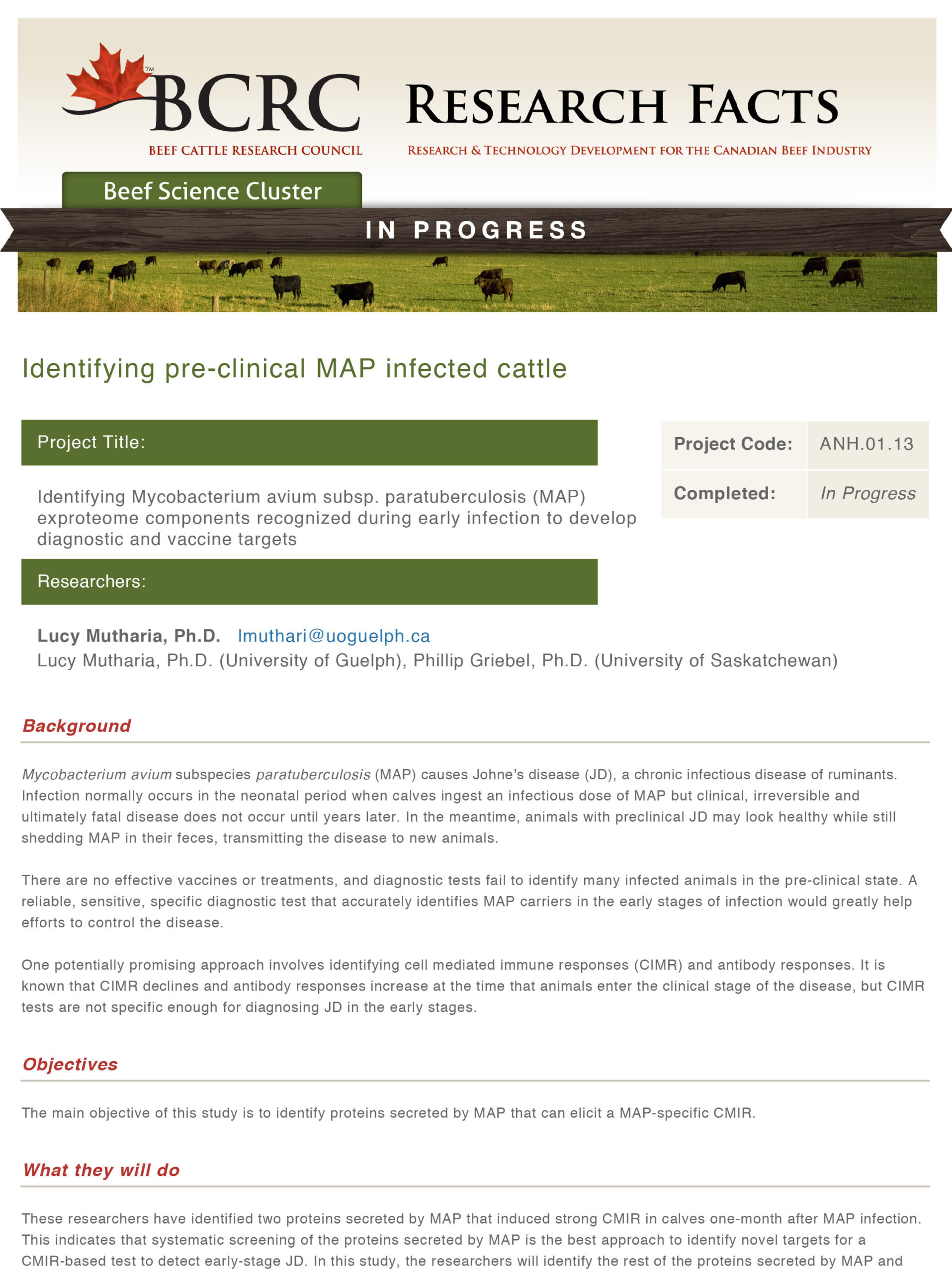Identifying Pre-Clinical MAP Infected Cattle - BeefResearch.ca