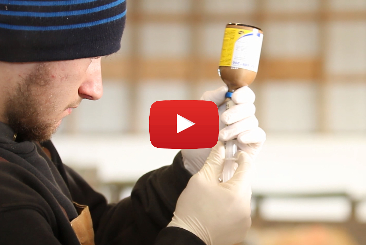 New Video What Beef Producers Need To Know About Antimicrobial Use And