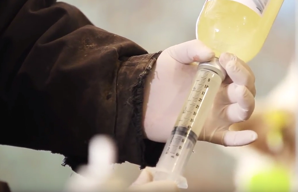 Canada's Veterinary Drug Approval Process - BeefResearch.ca