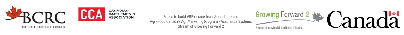 Verified Beef Production Plus (VBP+) Launches New National Website - BeefResearch.ca
