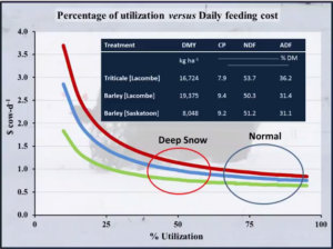 3 Tips for Swath and Bale Grazing - BeefResearch.ca