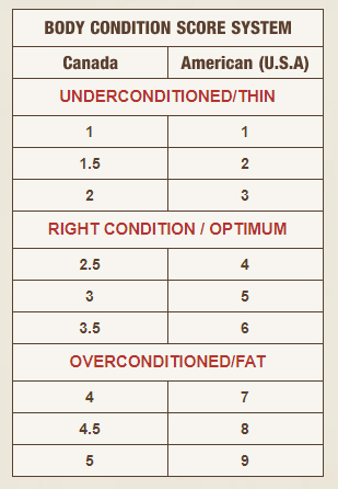 Different Approaches/Same Goal for Winter Management of Heifers ...