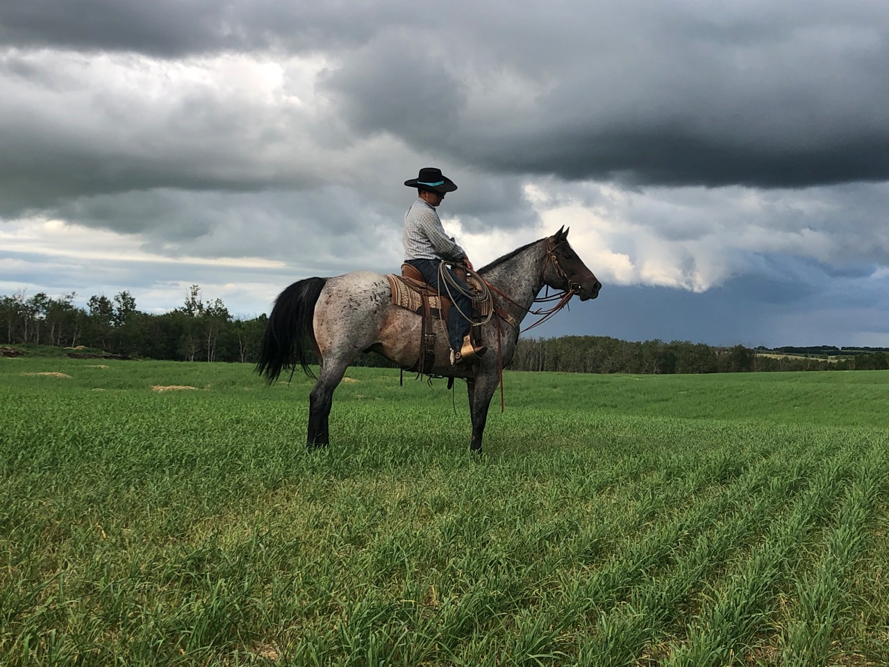 Five Producers Share Ideas That Have Made Their Farms and Ranches More ...