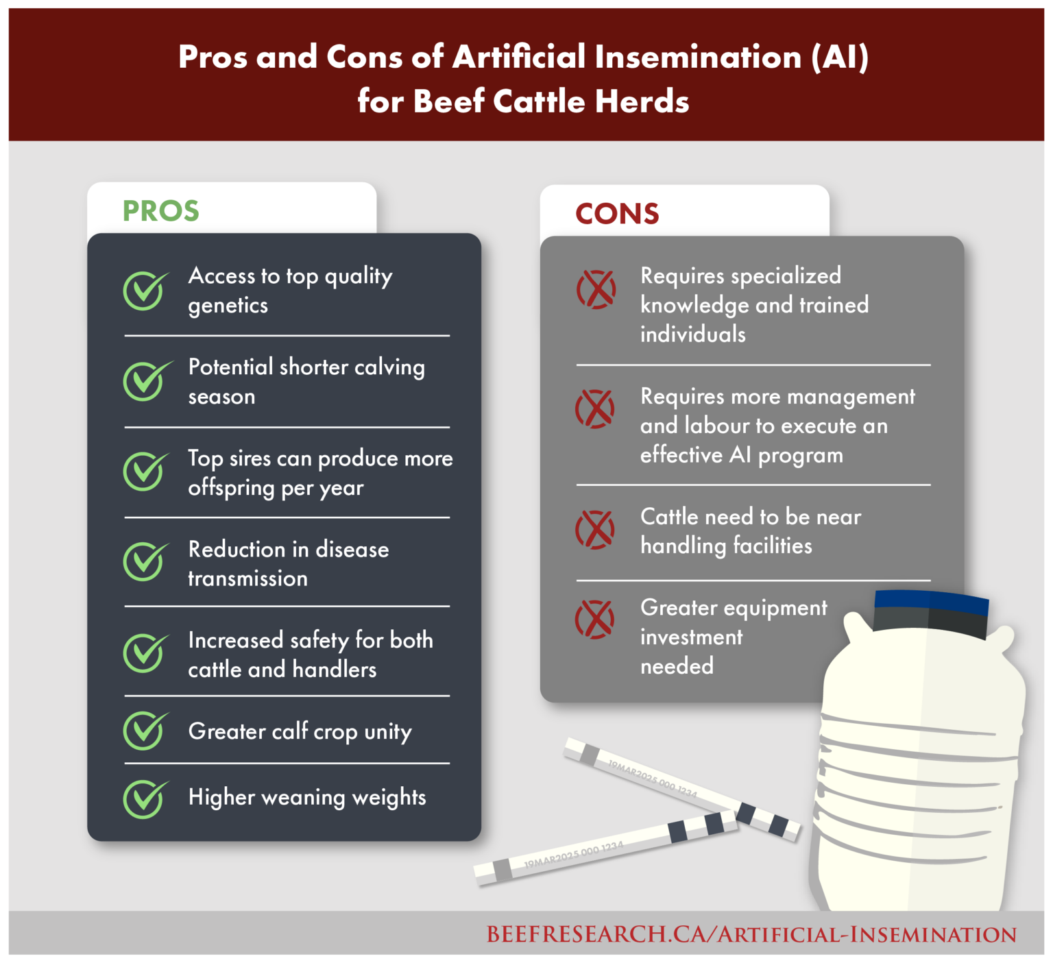 Artificial Insemination - BeefResearch.ca