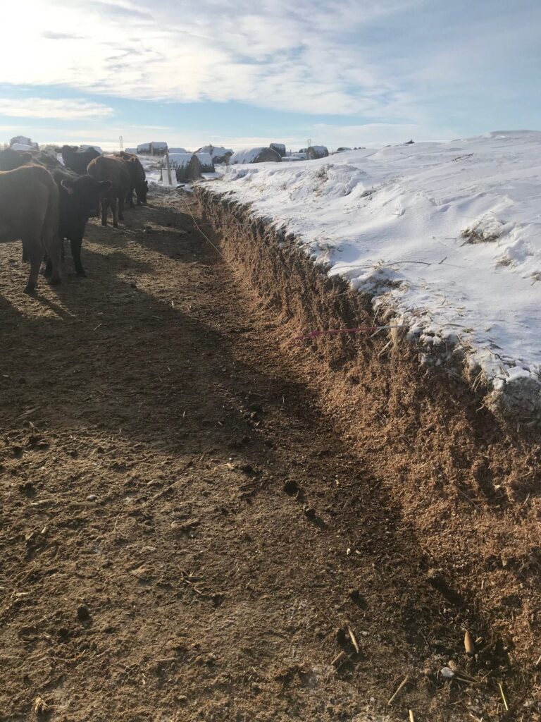 Meet the Council: Willingness to Adapt is Key for Managing Canadian ...