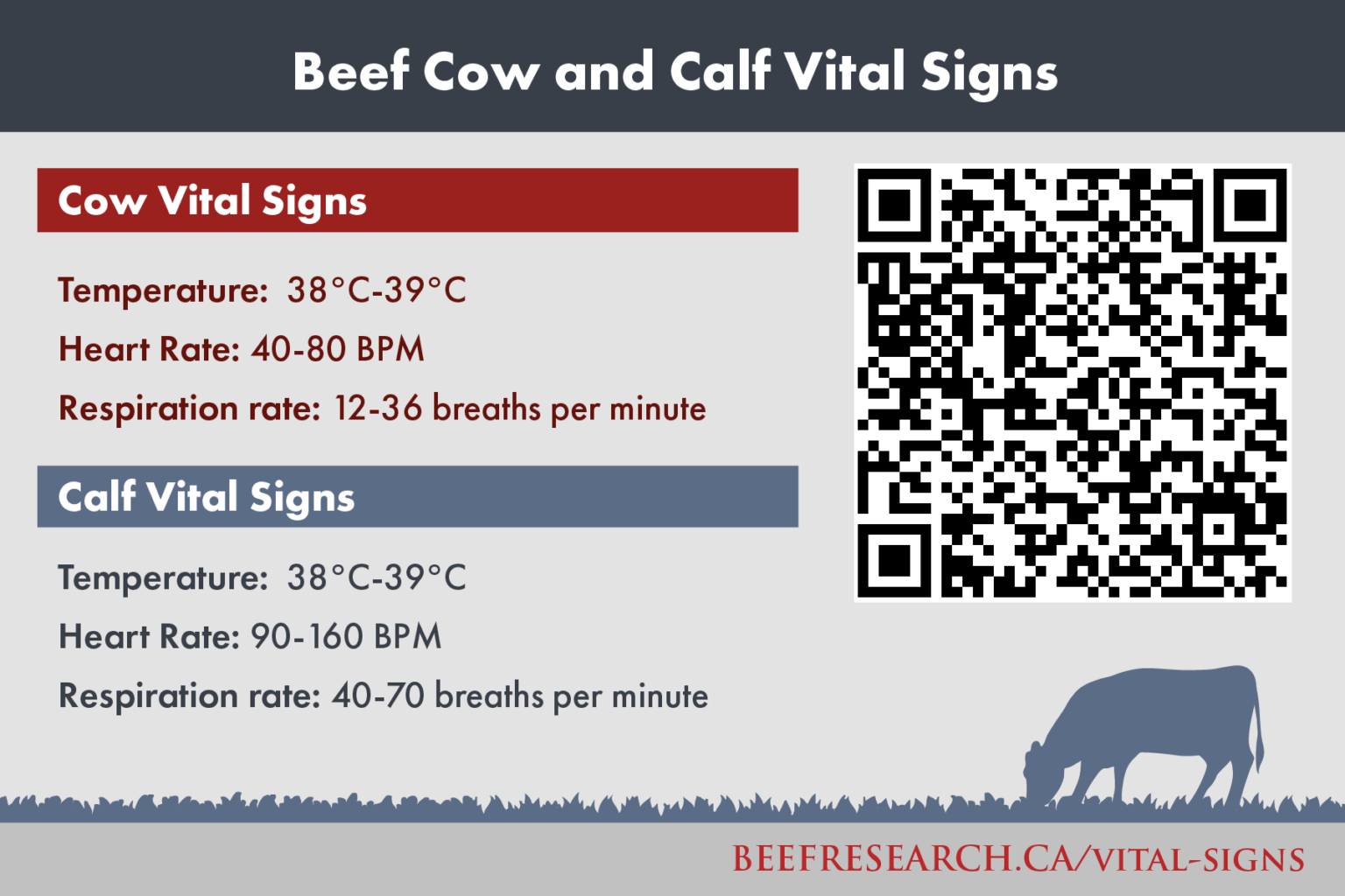 Calving & Calf Management - BeefResearch.ca
