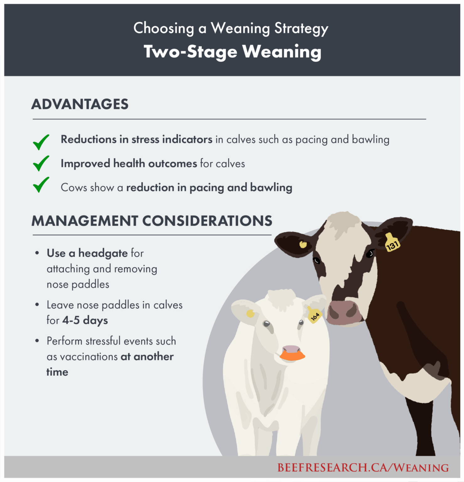 Weaning - BeefResearch.ca
