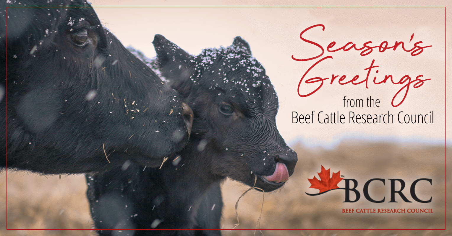 Happy Holidays from the BCRC! - BeefResearch.ca
