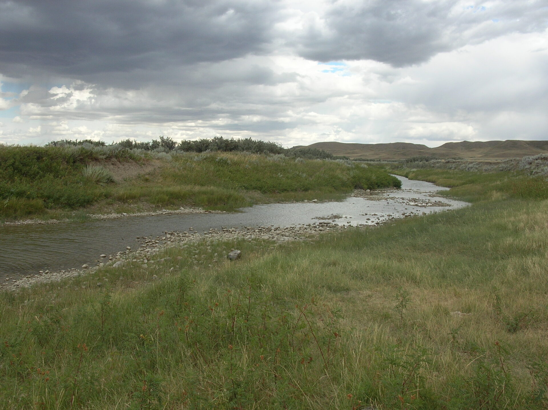 Strategies to Restore Riparian Zones: New Video - BeefResearch.ca