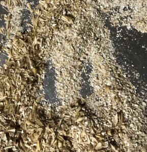 Feed Grains for Beef Cattle - BeefResearch.ca