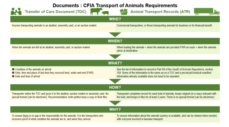 Updated Livestock Transport Regulations and What You Need to Know