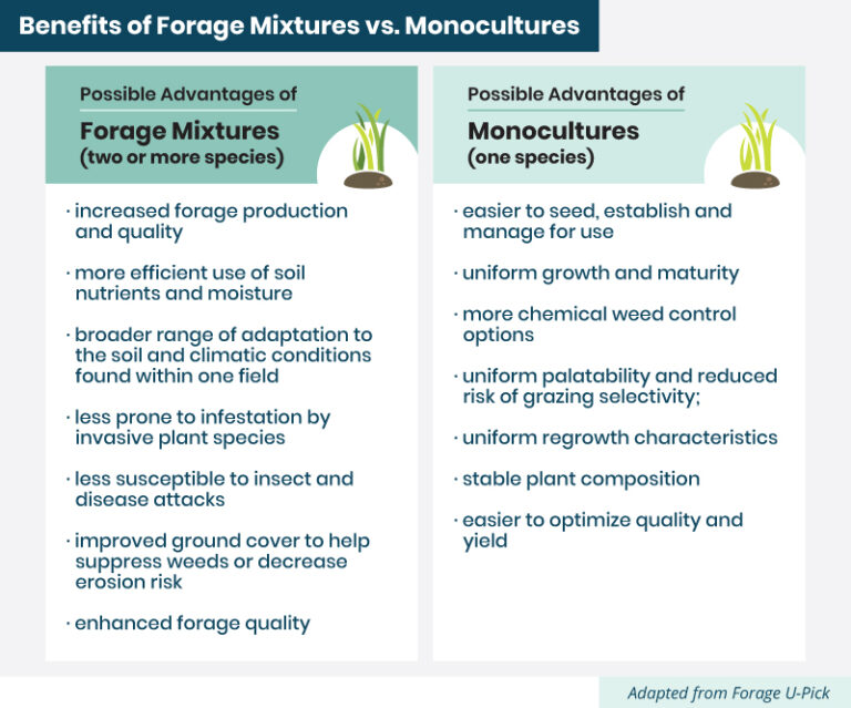 Selecting Forage Species - Pasture 101