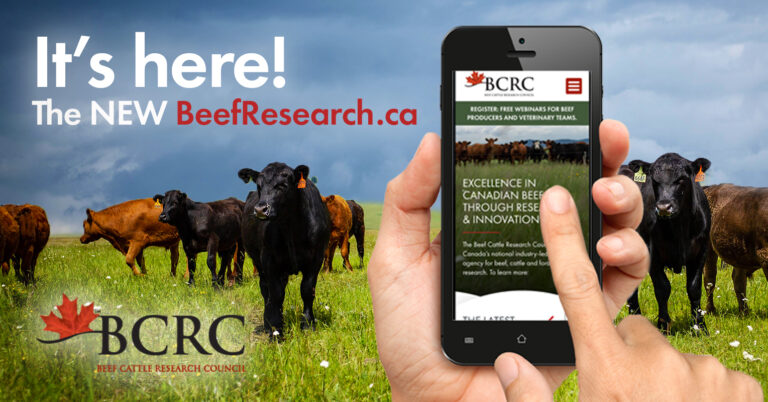 The New BeefResearch.ca - Multimedia kit - BeefResearch.ca