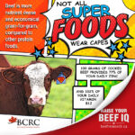 Nutritional Qualities of Beef - BeefResearch.ca