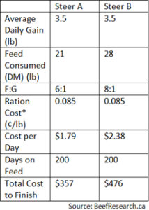 Optimizing Feedlot Efficiency - BeefResearch.ca