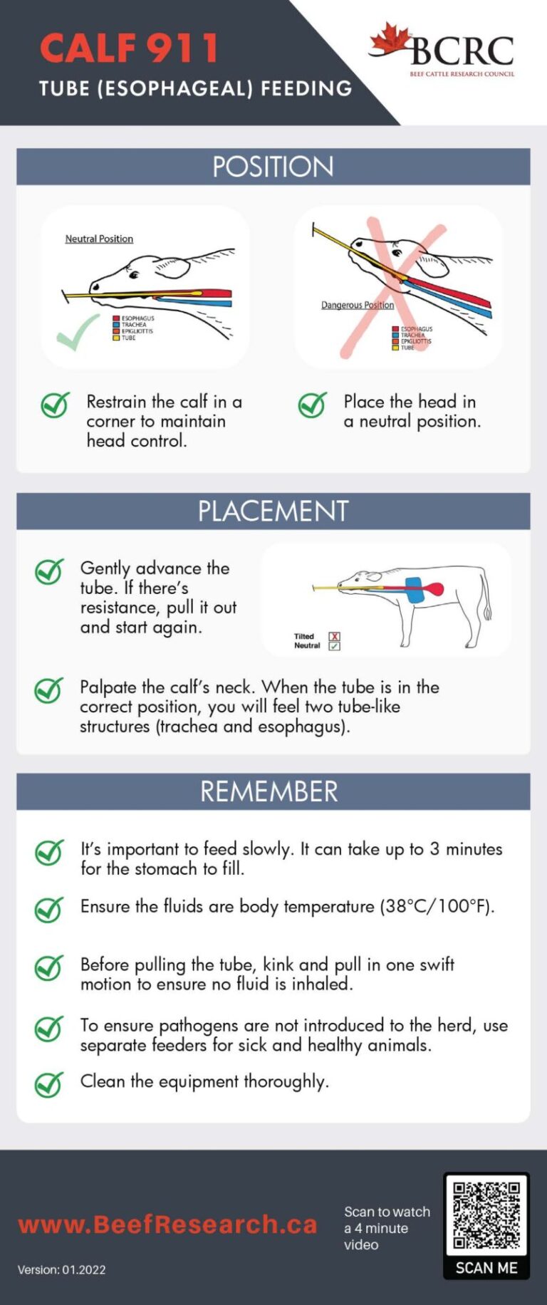 Calf 911 Checklists – Easy Access to Calving Management Tips