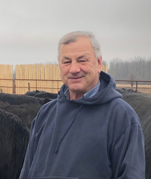 Beef Webinar: Setting Bulls Up for Success - BeefResearch.ca