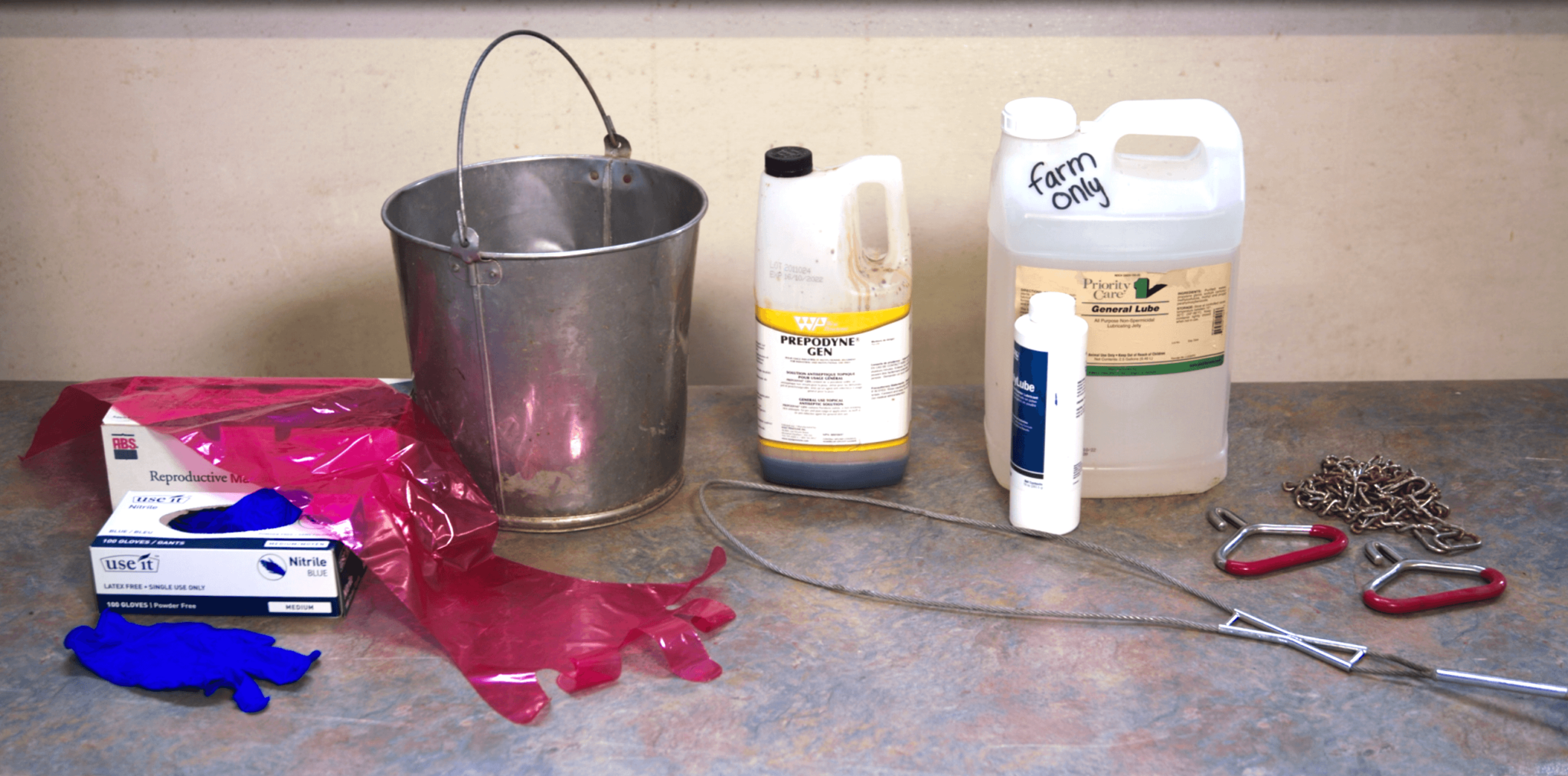 Early Calf Life Survival — BCRC Webinar Recap - BeefResearch.ca