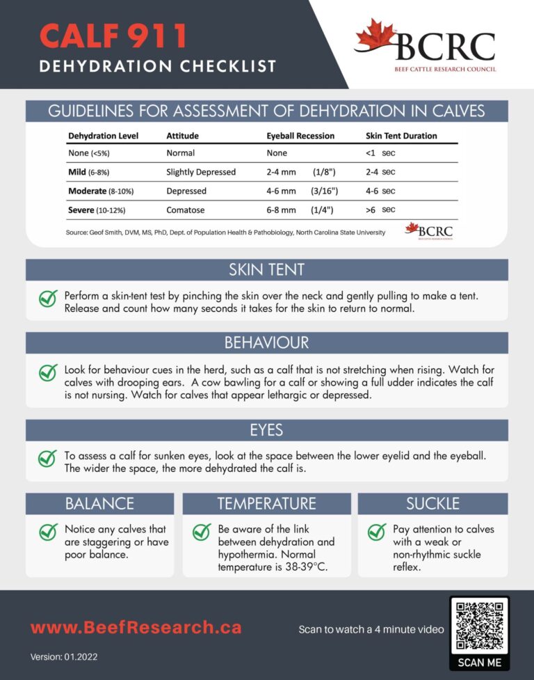 Calving & Calf Management - BeefResearch.ca