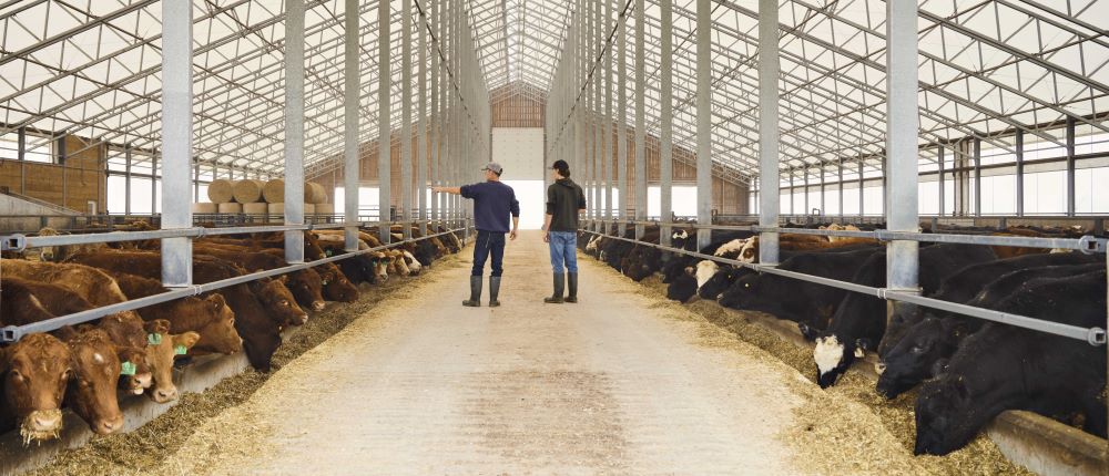 The Transfer Knowledge Mobilization Newsletter - BeefResearch.ca