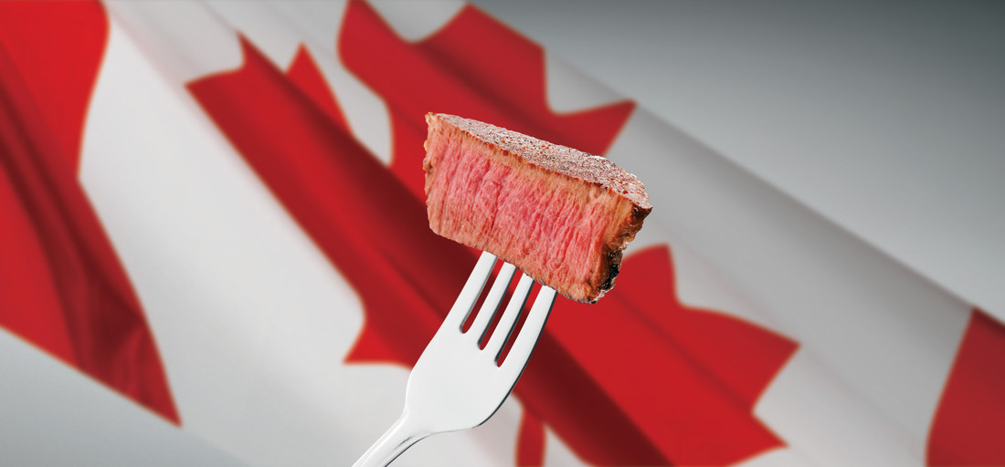 Can Canada Reduce Dark-Cutting Discounts? 🎙️ - BeefResearch.ca