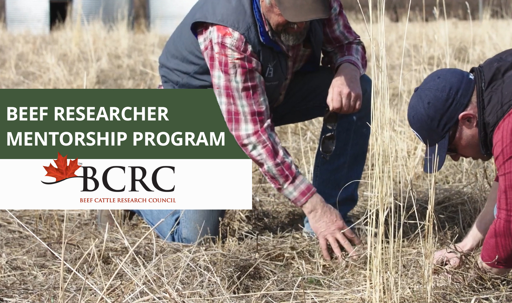 Forging Researcher and Industry Connections Through Mentorship