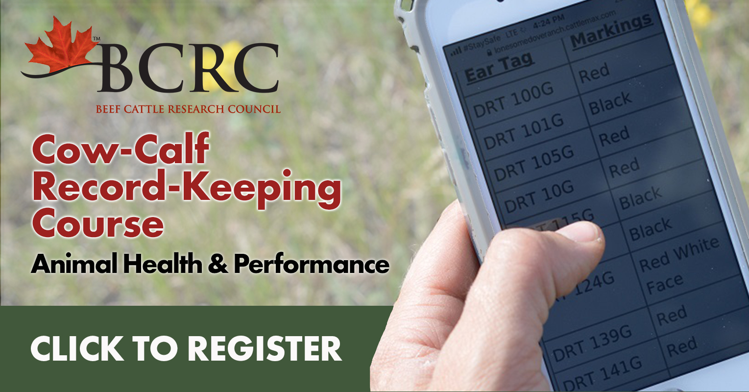 Are Your Farm Records Working for You? - BeefResearch.ca