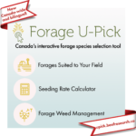 Interactive Production Tools & Calculators from BeefResearch.ca