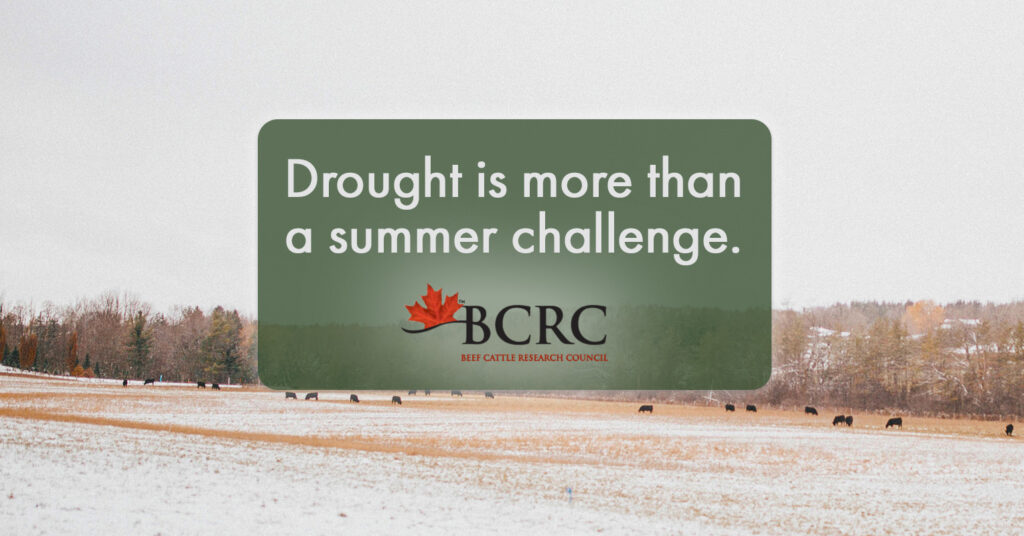 Drought Management Strategies - BeefResearch.ca