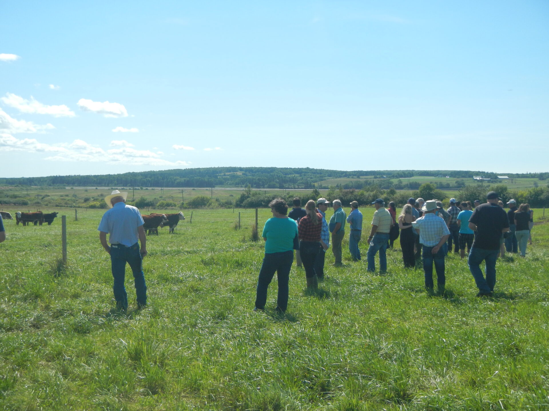 Regional Activities Funding Program - BeefResearch.ca