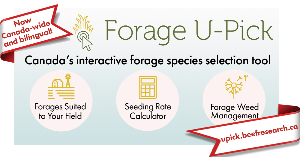 Forage Species - BeefResearch.ca