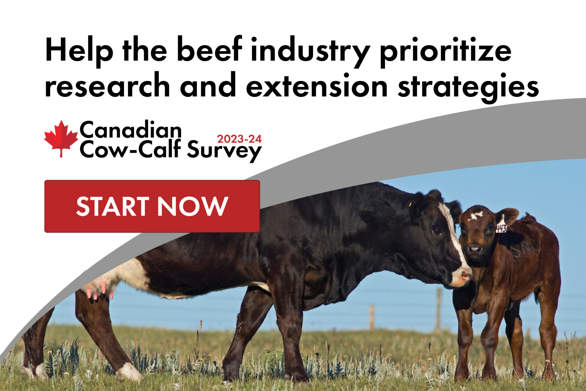 Canadian Cow-Calf Survey - BeefResearch.ca