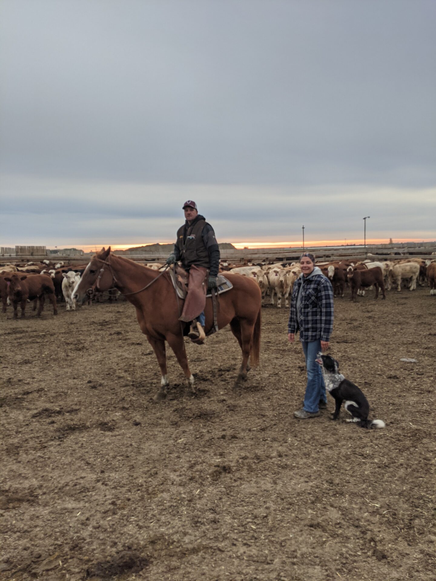 Meet the Council: Modifications Worth Making