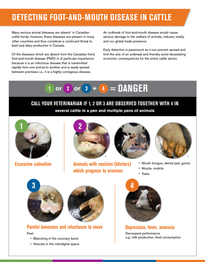 Foot and Mouth Disease - BeefResearch.ca