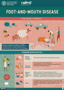 Foot and Mouth Disease - BeefResearch.ca
