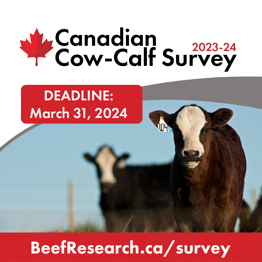 Cow-Calf Producers, Your Perspective Ought To Be Heard - BeefResearch.ca