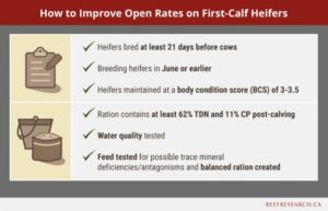 Calving & Calf Management - BeefResearch.ca