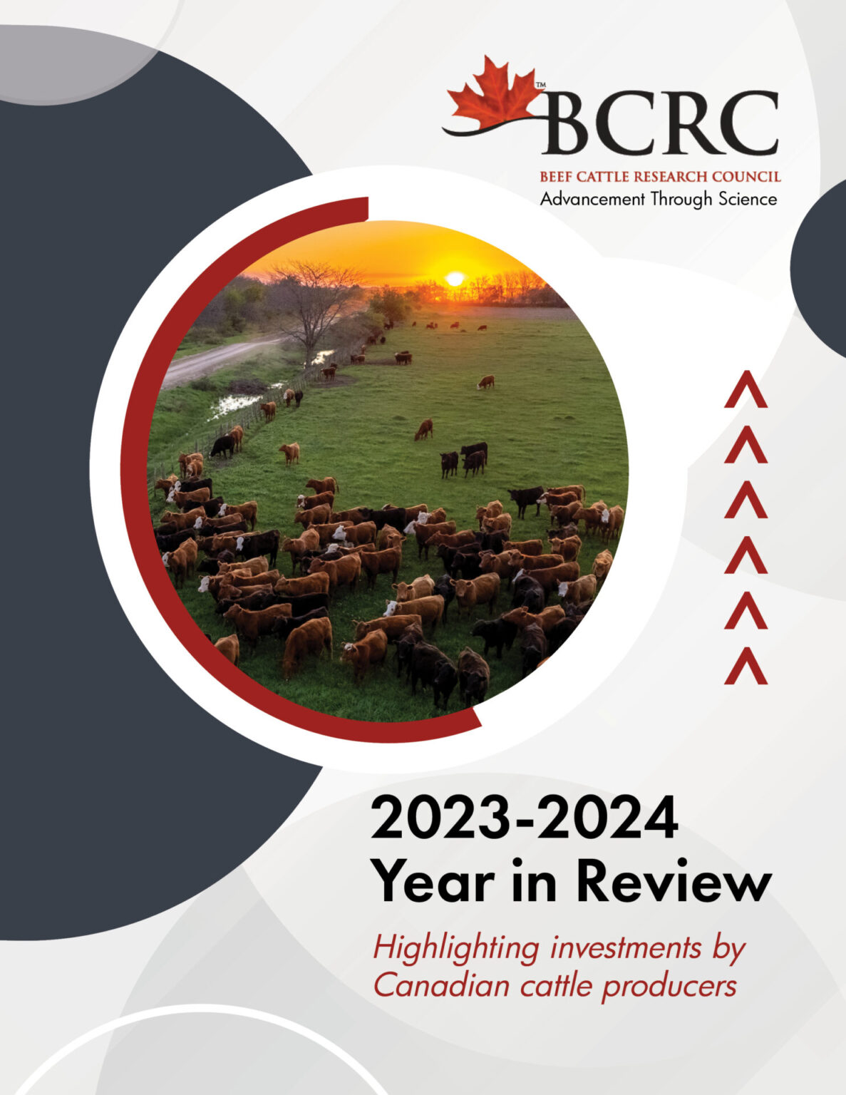 Reports - BeefResearch.ca