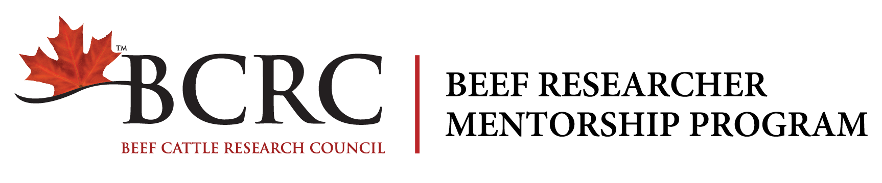 Announcing the Beef Researcher Mentorship Program Participants for 2024-25 - BeefResearch.ca