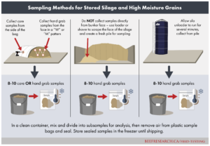 Feed Sampling Resources - BeefResearch.ca