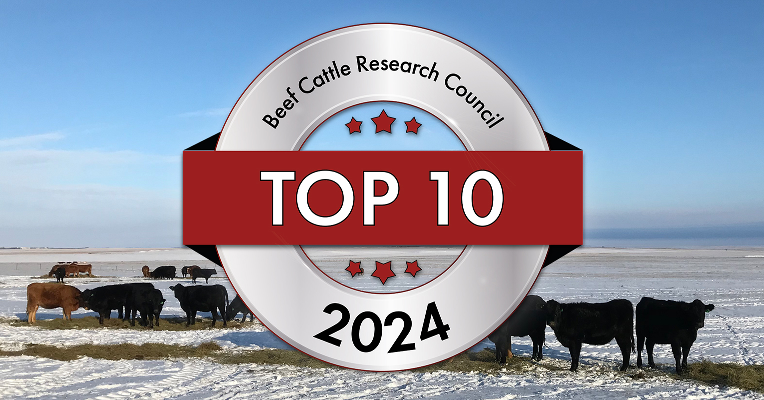 The Top 10 Most Popular Resources for Beef Cattle Producers in 2024