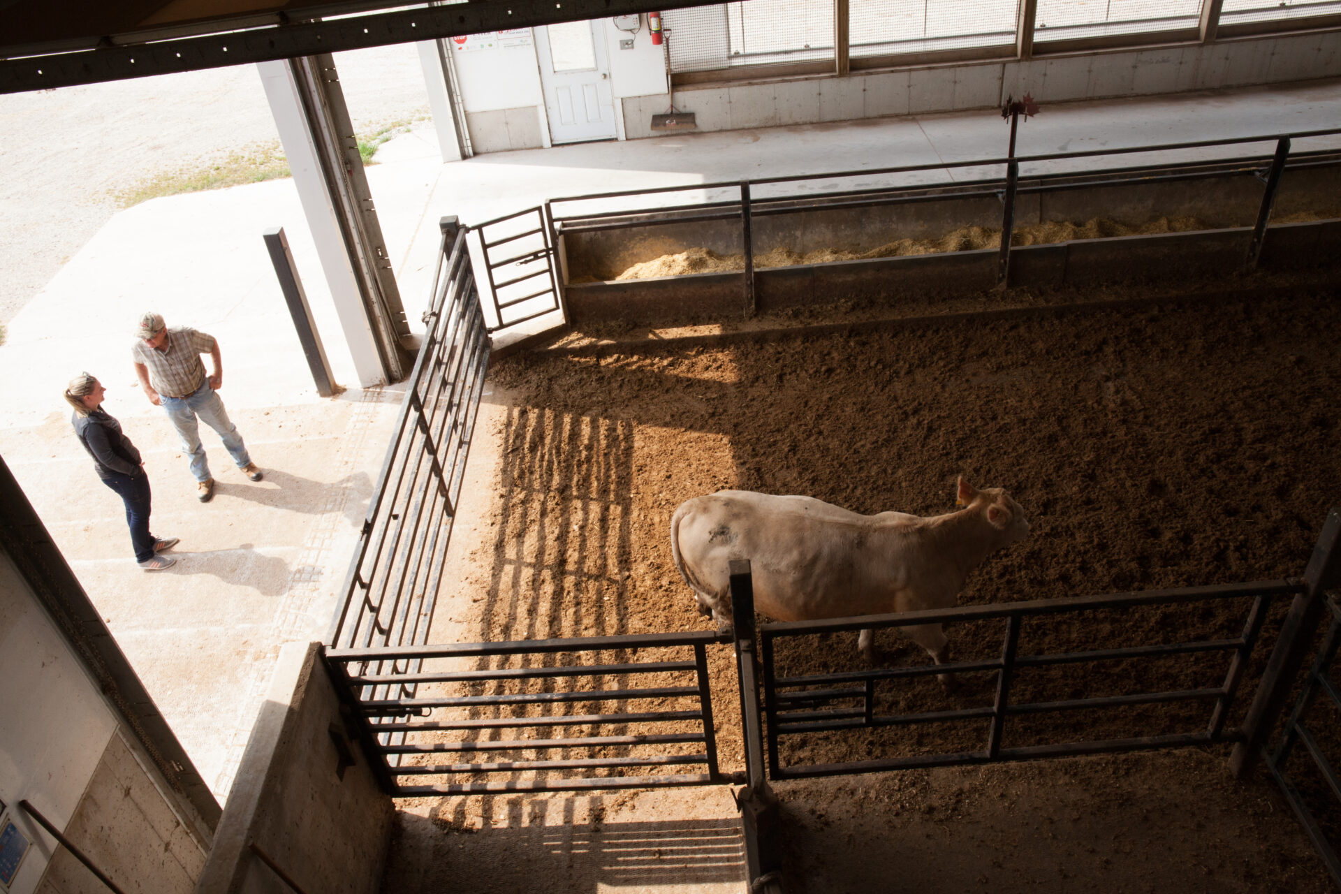 Veterinarian-Client-Patient Relationship (VCPR) - BeefResearch.ca