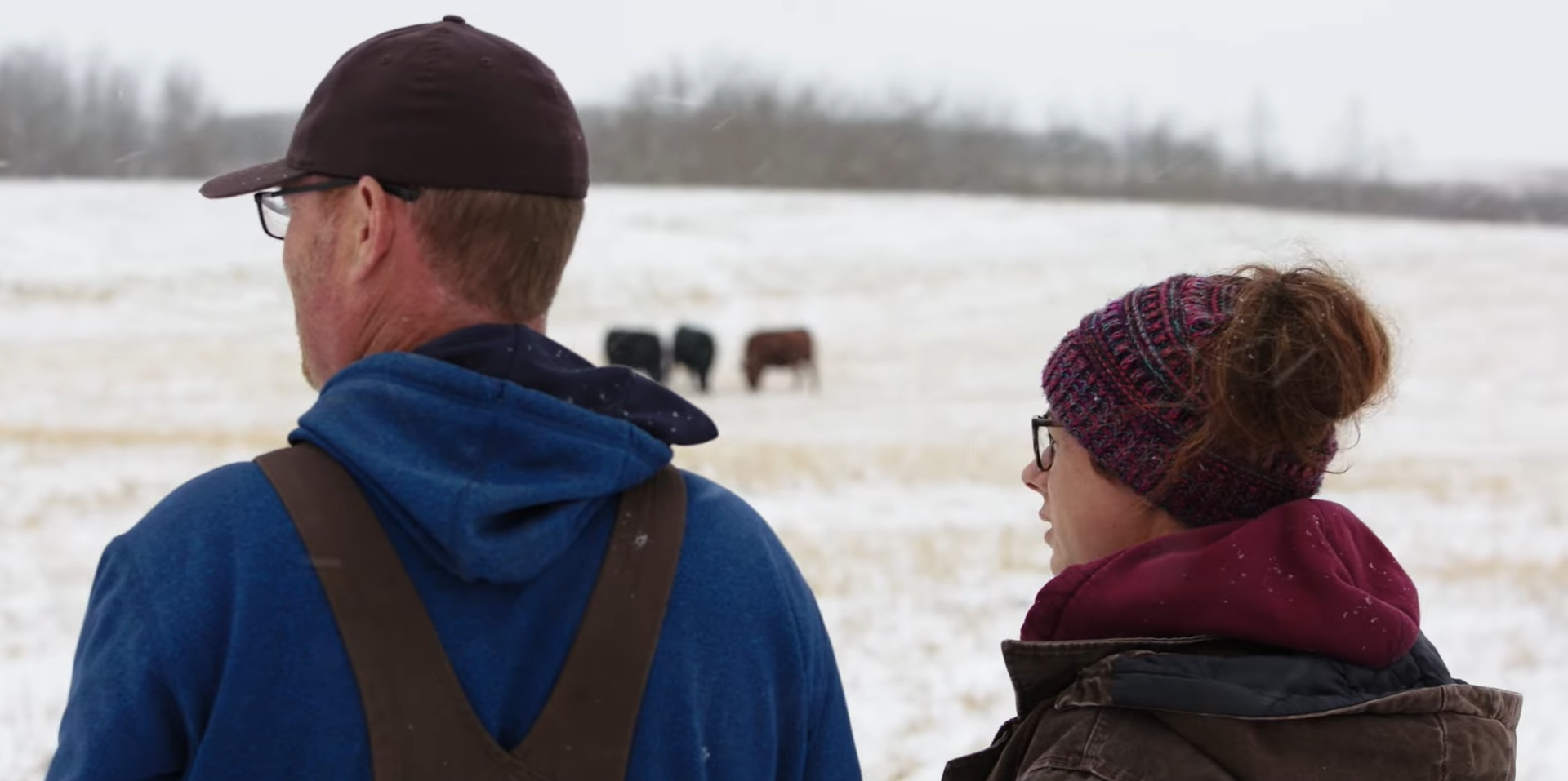 Ready, Set, Calve: How to Prepare Yourself and Your Beef Operation for ...