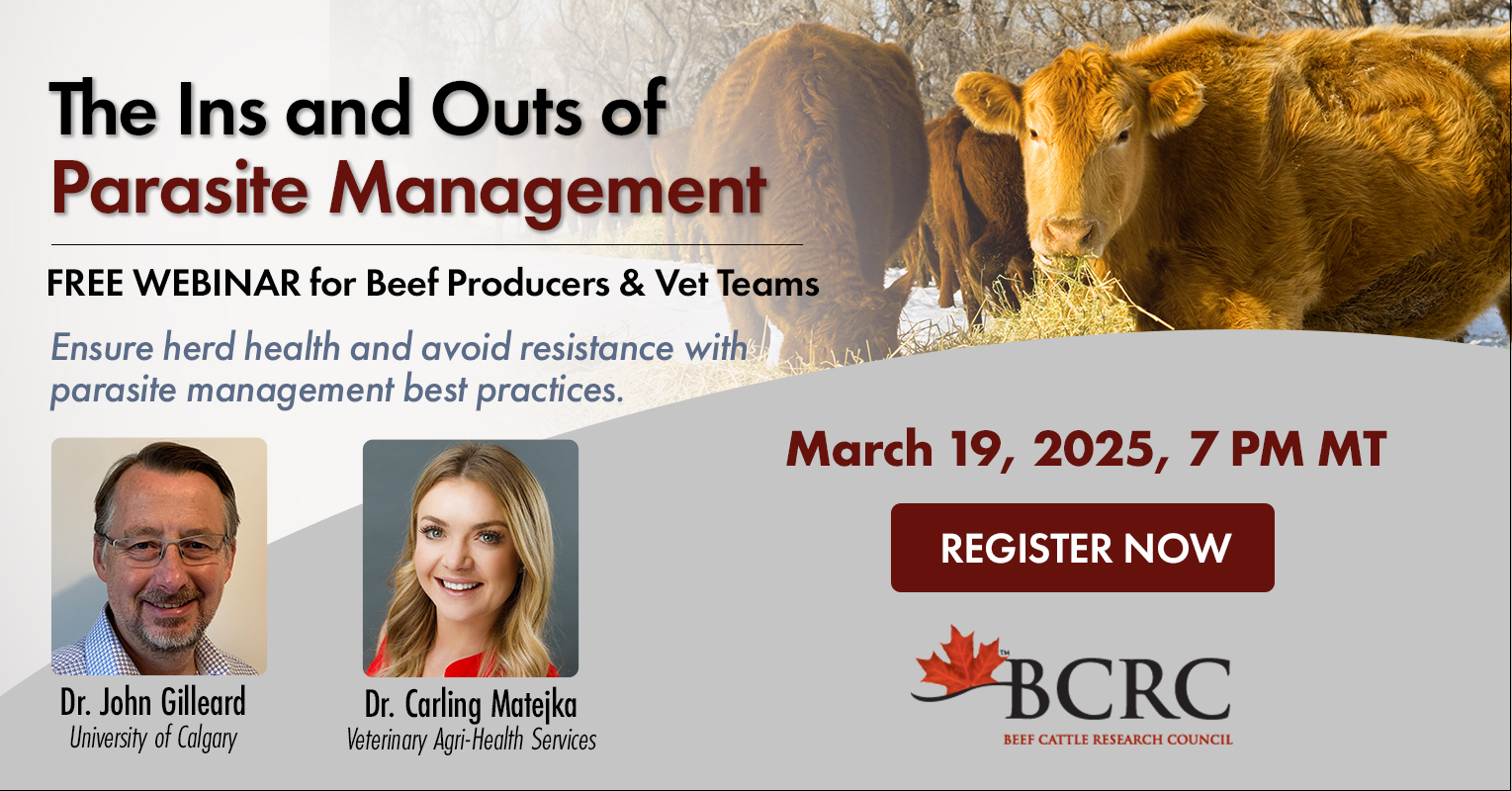 Beef Webinar - The Ins and Outs of Parasite Management- BeefResearch.ca