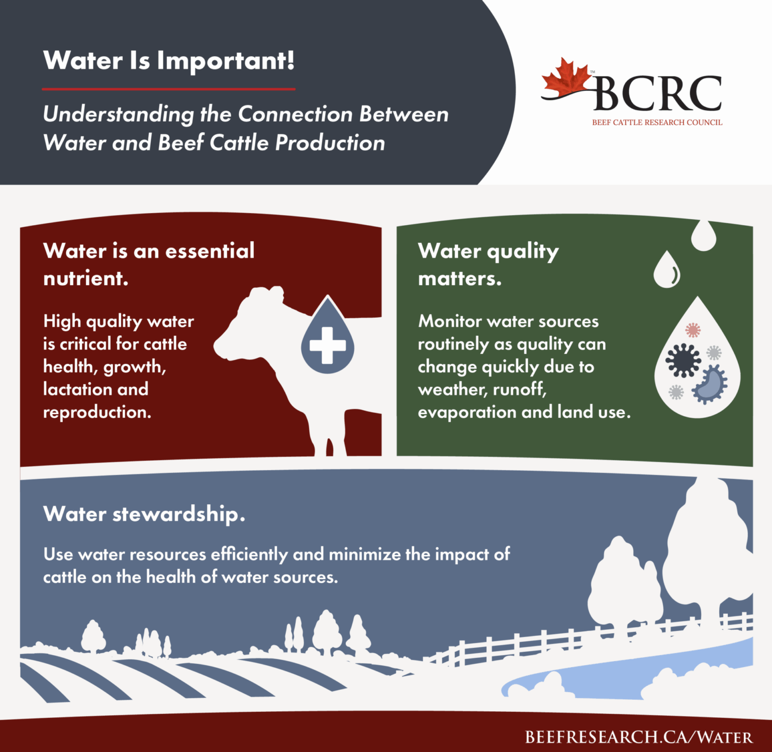 Water Management for Beef Cattle - BeefResearch.ca