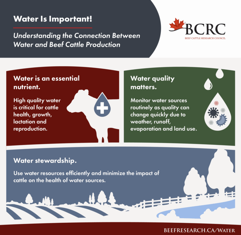 Water Management for Beef Cattle - BeefResearch.ca